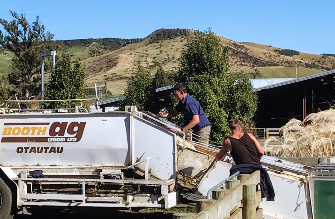 Sheep Dipping – BoothAg Ltd 2008